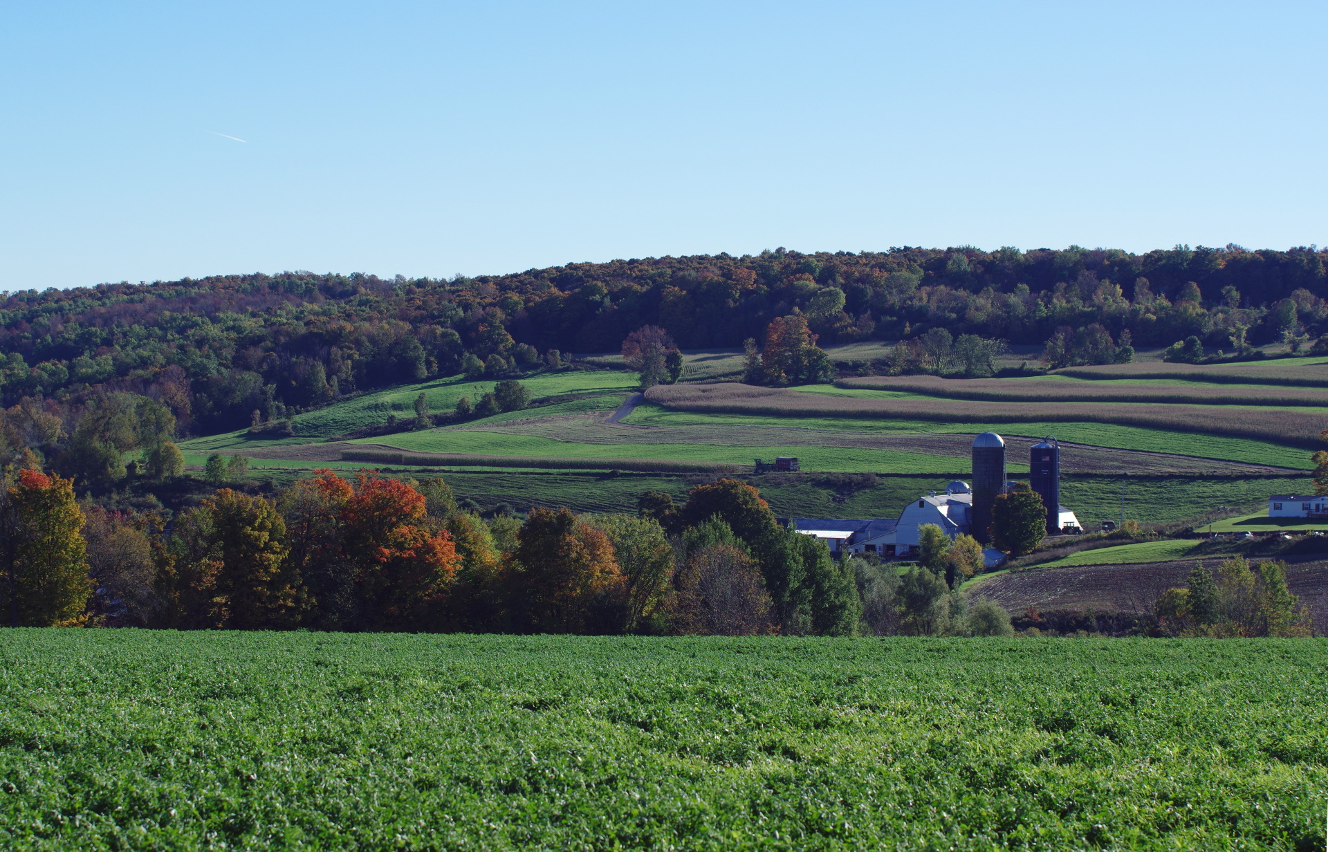 Land Agent Tactics – NoBigWind.com